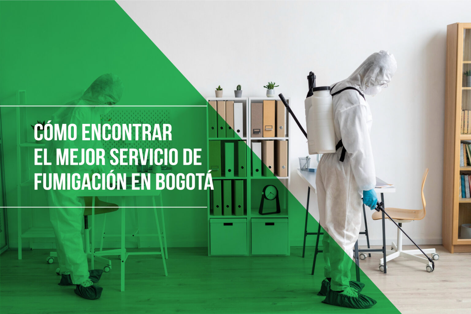Cómo Encontrar el Mejor Servicio de Fumigación en Bogotá - Guía Completa
