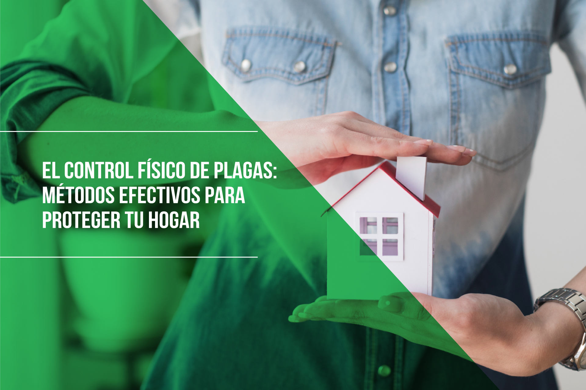 El Control Físico de Plagas: Métodos Sostenibles para Proteger tu Hogar
